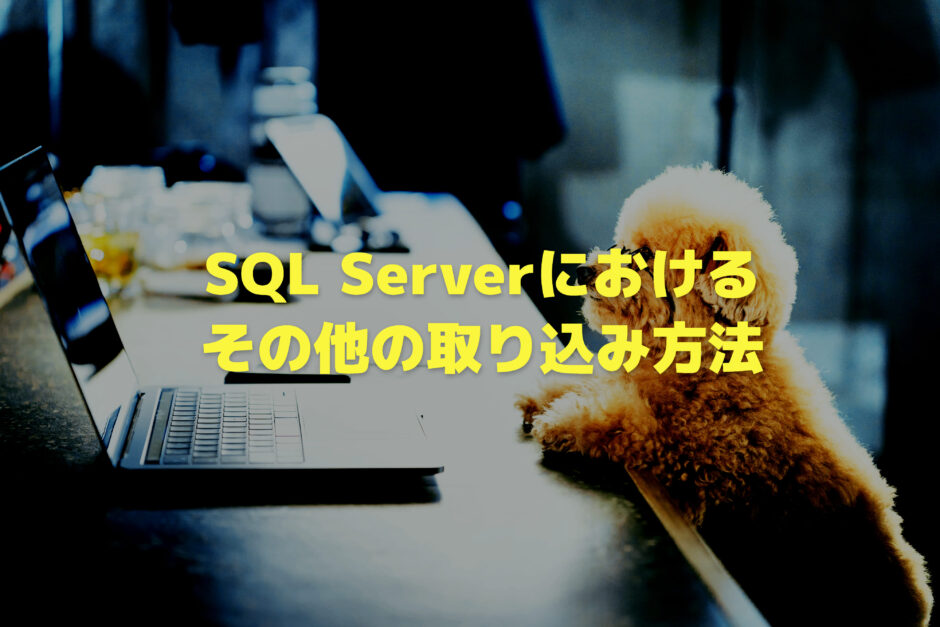 【BULK INSERT】SQL Serverのバルクインサートについて手順と注意点を図解でわかりやすくご紹介します【大量取込】 | Hane-Labo